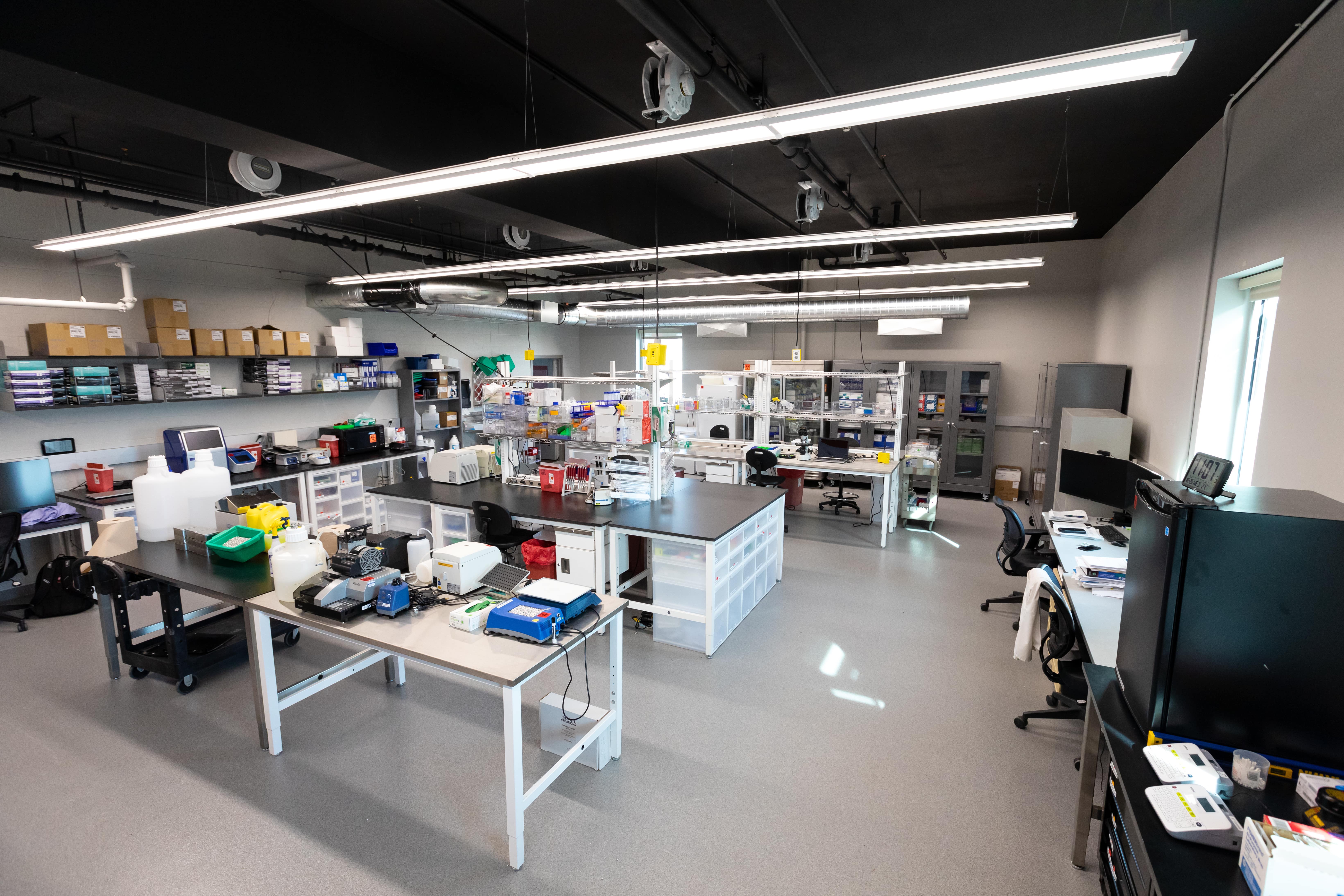 Molecular Parasitology Lab